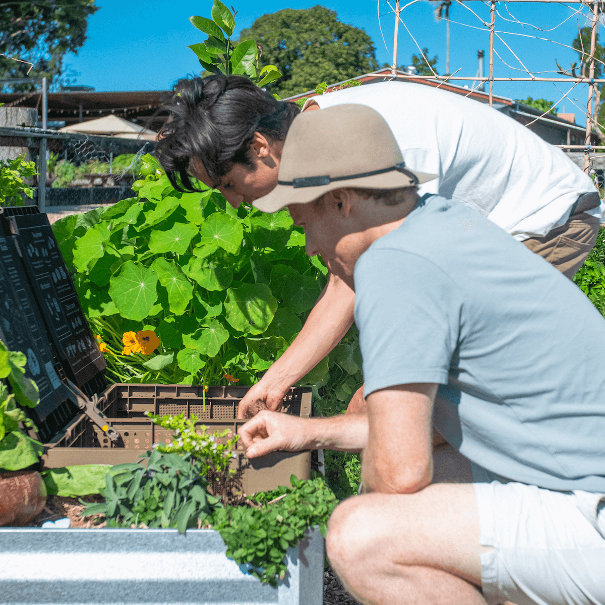 How to turn kitchen waste into compost – Coconut Bowls
